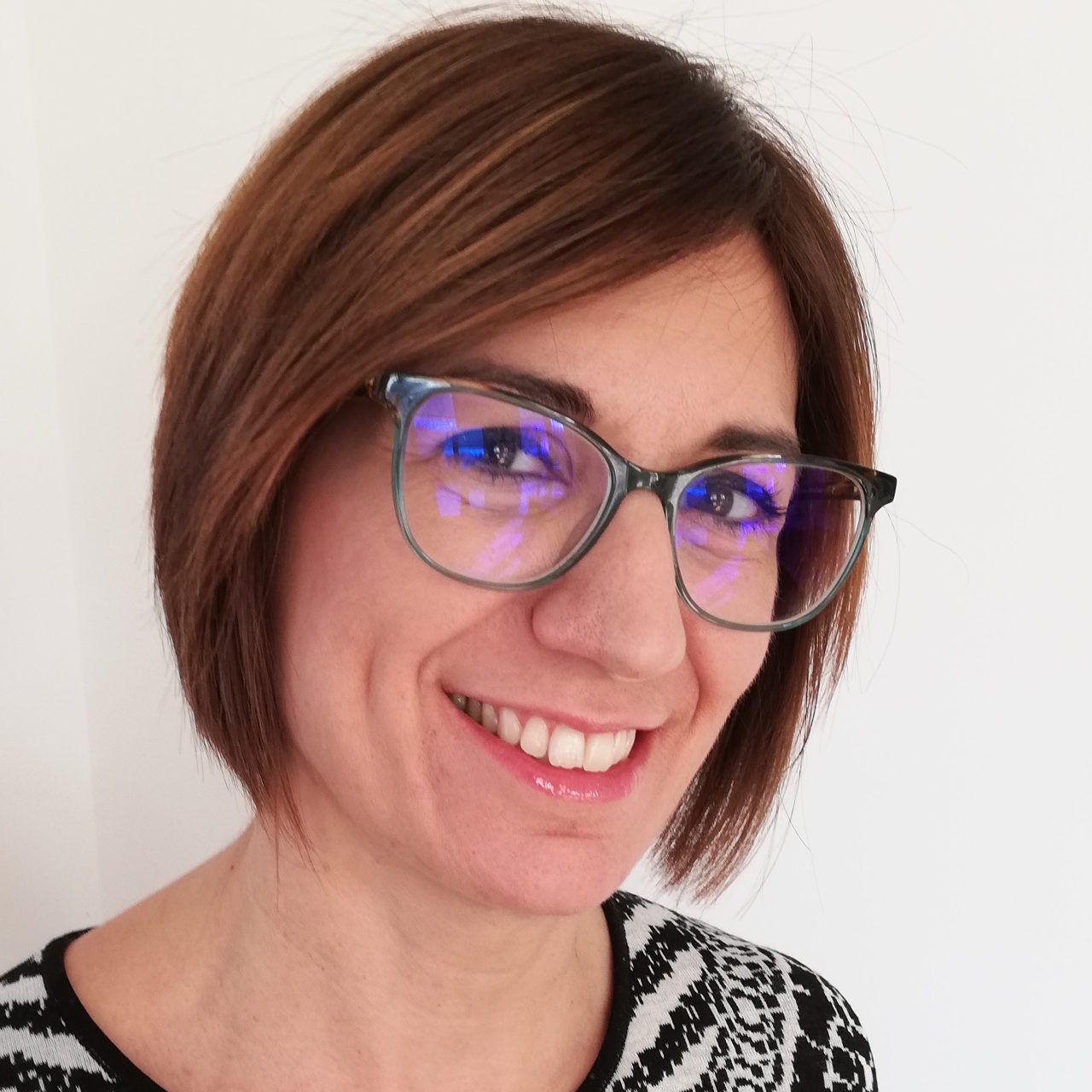 Partners - TRIGGER project